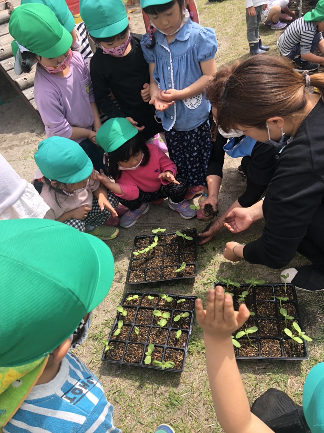 【若草のがみこども園】こいのぼりプレート＆ひまわりの植え替え 社会福祉法人若草会 幼保連携型認定こども園 若草おおぞらこども園・幼保連携型認定こども園 若草のがみこども園・あゆみ保育園